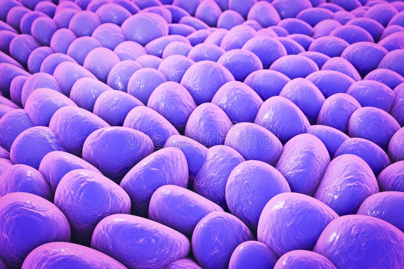 Laag menselijke cellen stock illustratie. Illustration of cellen - 76954665