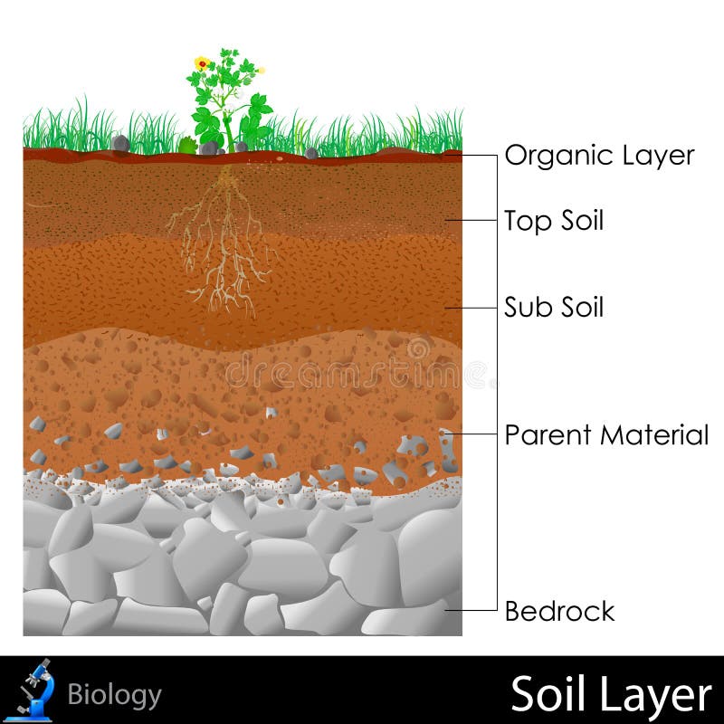 Lagen van een grondprofiel vector illustratie. Illustration of diagram ...
