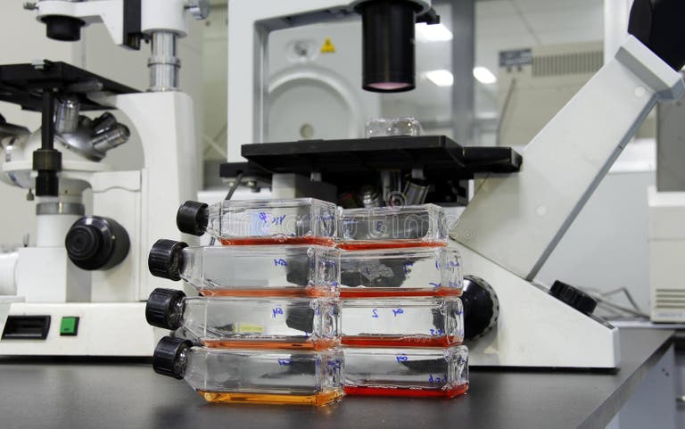 588 Optics Lab Work Stock Photos - Free & Royalty-Free Stock Photos ...