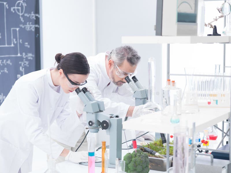 Laboratory Formulas Analysis Stock Photo - Image of instruct, scanner ...