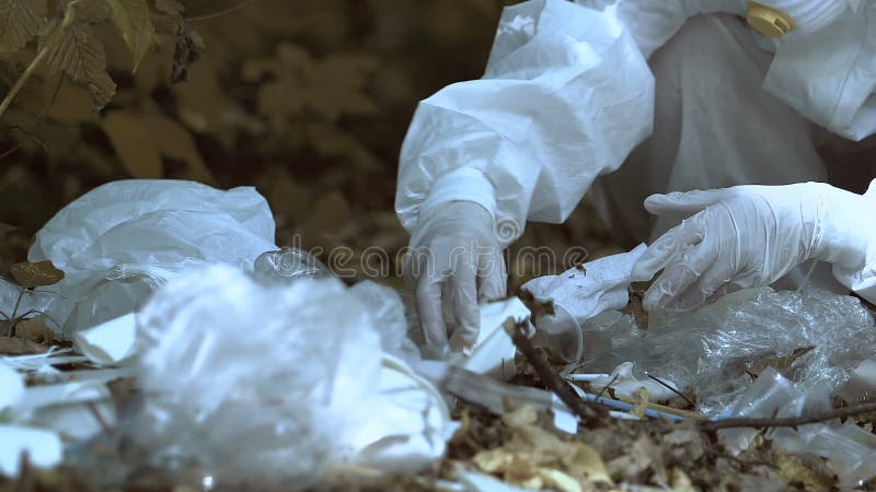 Lab Assistant Analyzing Plastic Waste in Forest, Toxic Harmful Effect ...