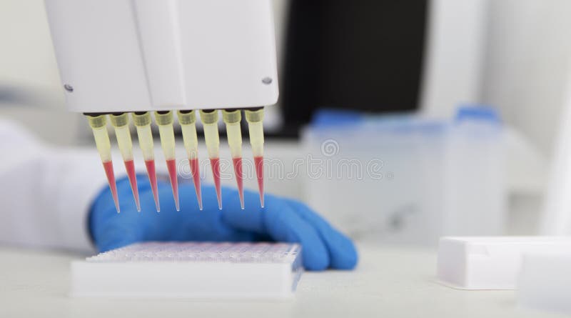 Lab Assistant Dropping Red Samples from Big Pipette in Modern ...