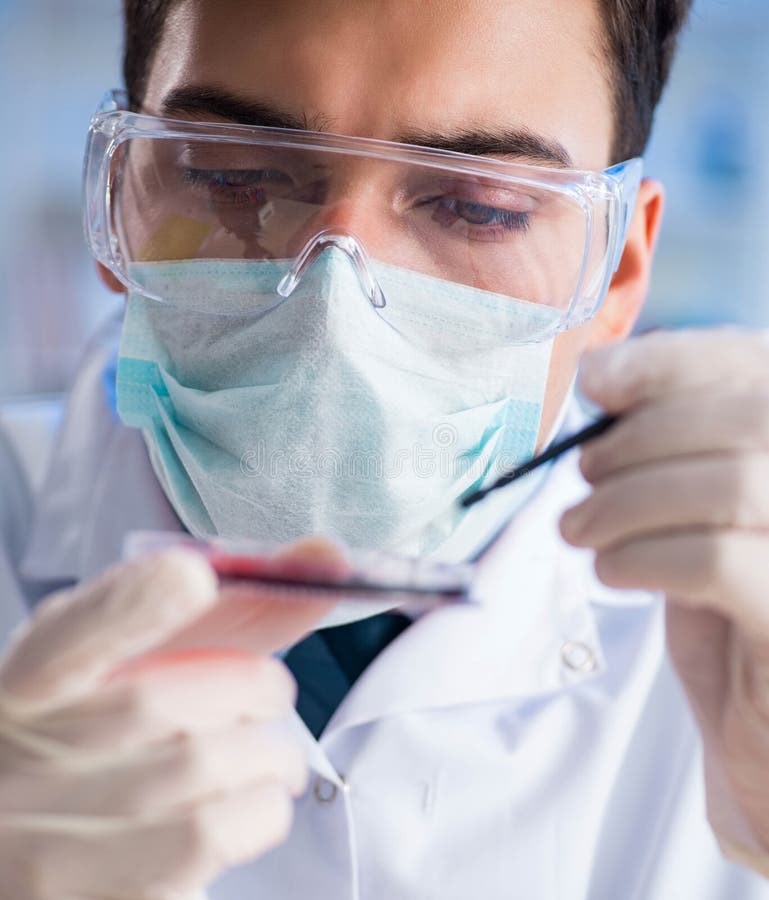 Lab Assistant Testing Blood Samples in Hospital Stock Image - Image of ...