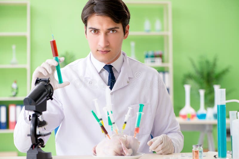 The Lab Assistant Testing Gmo Chicken Stock Image - Image of meat ...