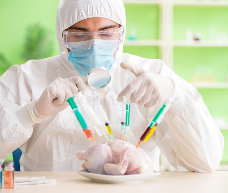 Lab Assistant Testing GMO Chicken Stock Image - Image of injection ...