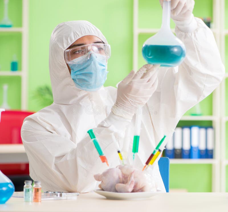 Lab Assistant Testing GMO Chicken Stock Image - Image of genetic ...