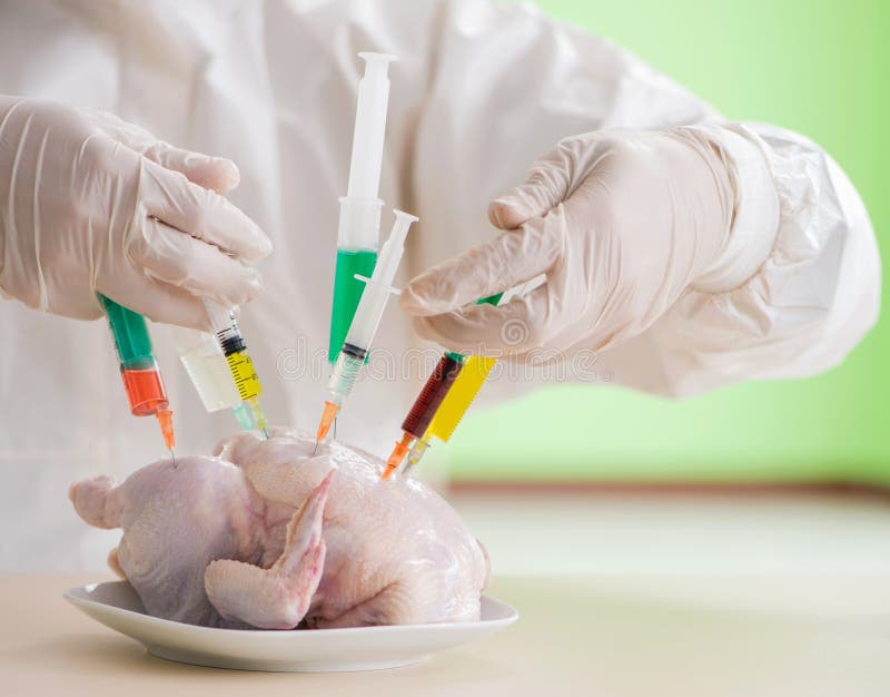 Lab Assistant Testing GMO Chicken Stock Photo - Image of chemist ...