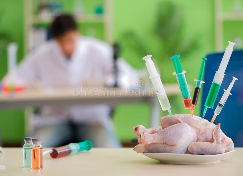 Lab Assistant Testing GMO Chicken Stock Image - Image of analysis ...