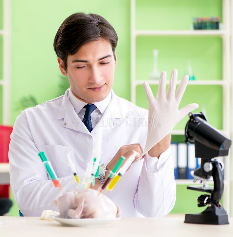 Lab Assistant Testing GMO Chicken Stock Image - Image of nutrition ...