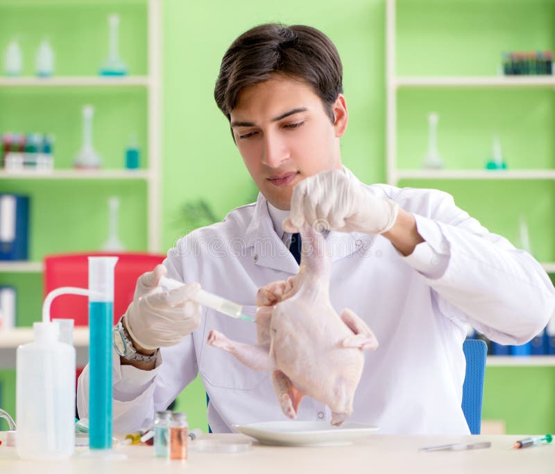 1,098 Chicken Scientific Stock Photos - Free & Royalty-Free Stock ...