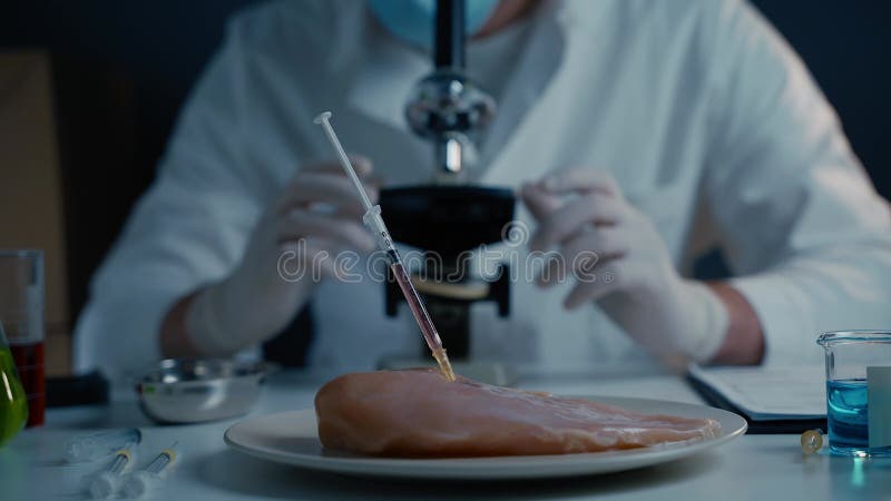 Lab Assistant Testing GMO Chicken. Worker of Food Quality Control ...