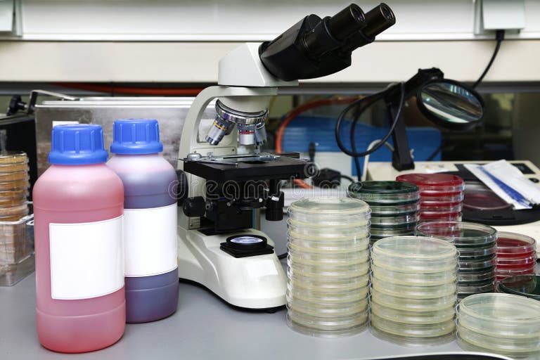 Lab Bench for Microscopic Analysis Stock Photo - Image of analyzing ...