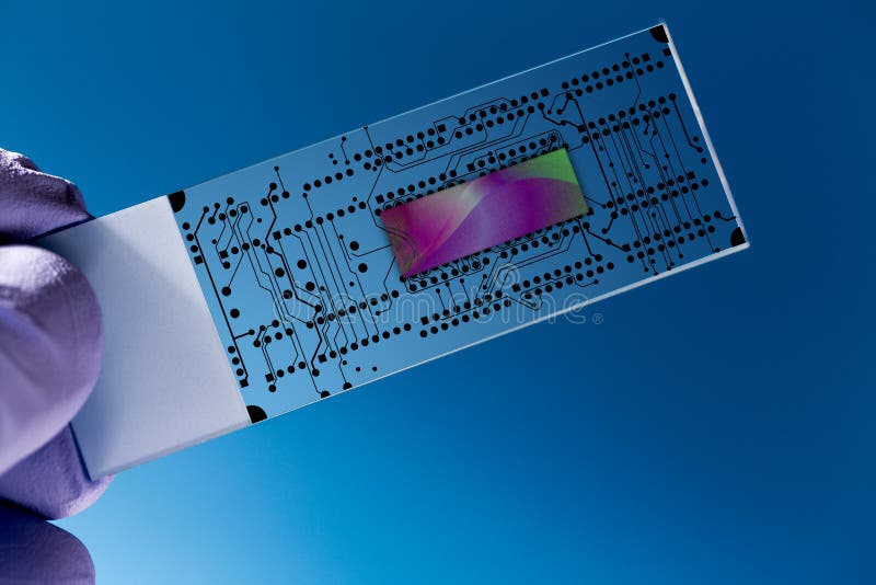 Woman Scientist in Laboratory Stock Photo - Image of experiment ...