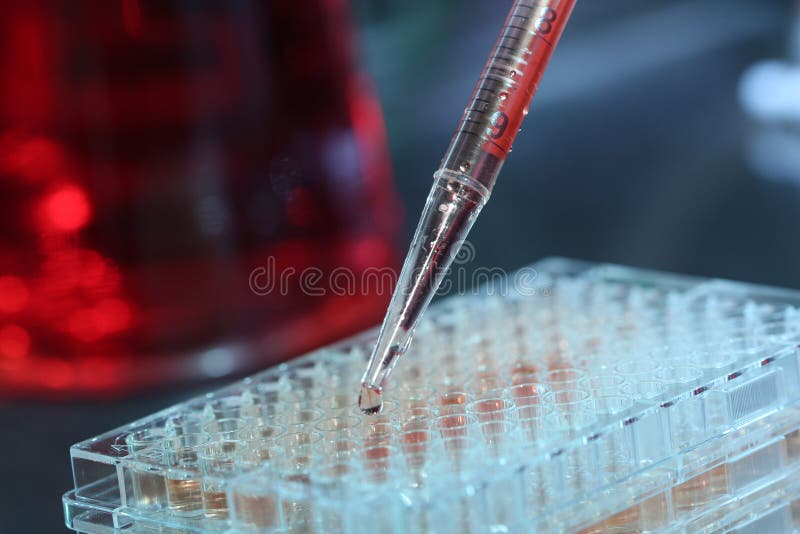 Lab equipment stock image. Image of discovery, laboratory - 9674805