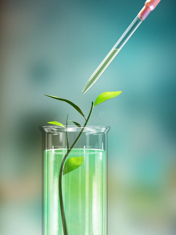 Lab flask and plant stock illustration. Illustration of shiny - 277444259