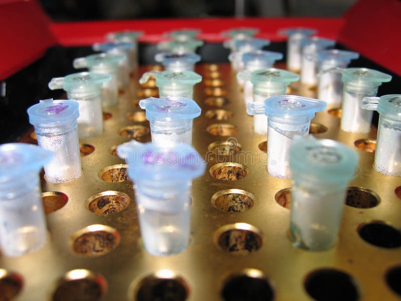 Lab flasks 3 stock photo. Image of professor, laboratory - 7652