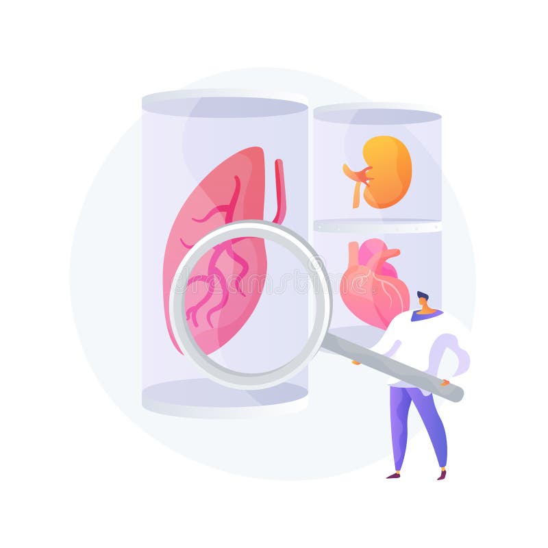 Lab-grown Organs Abstract Concept Vector Illustration. Stock Image ... Lab-grown Organs Abstract Concept Vector Illustration. Stock Image ...