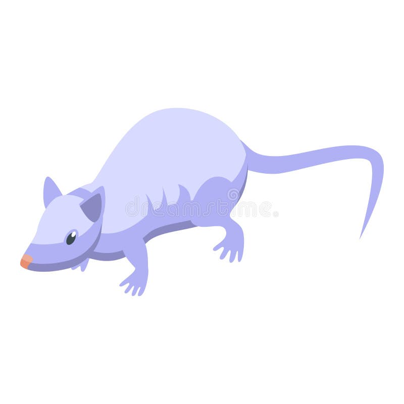 Lab Mouse Icon Isometric Vector. Rat Animal Stock Vector - Illustration ...