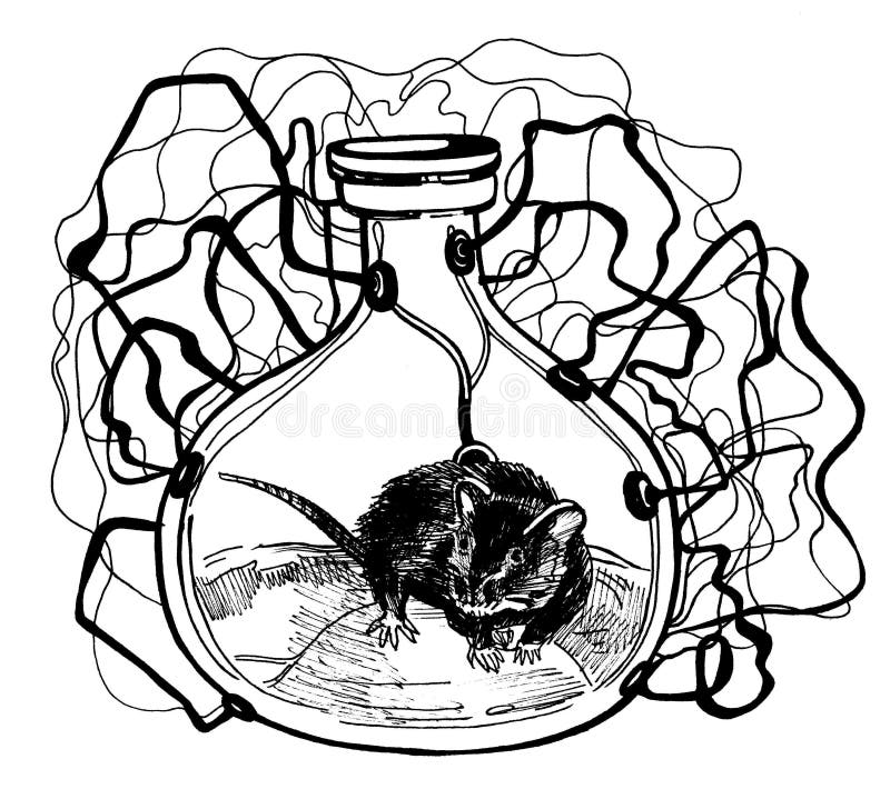 Lab mouse stock vector. Illustration of medical, animal - 52780311