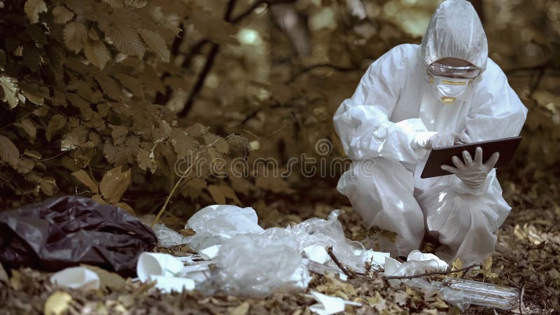 1,375 Lab Forest Stock Photos - Free & Royalty-Free Stock Photos from ...