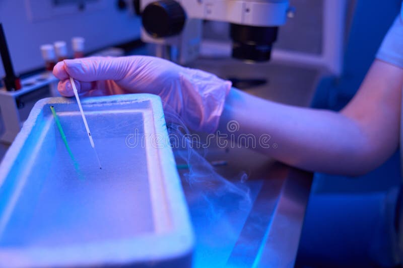 Lab Researcher Freezing Cells in Cryogenic Freezer Box Stock Image ...