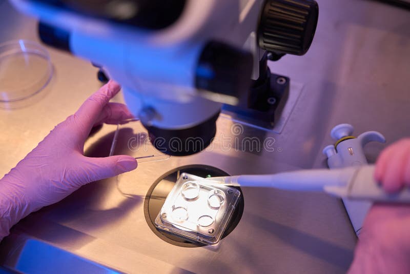 Lab Researcher Involved in Preparation of Samples for Microscopic ...