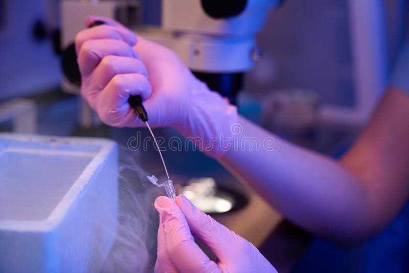 Lab Researcher is Preparing Cell Samples for Cryopreservation Stock ...