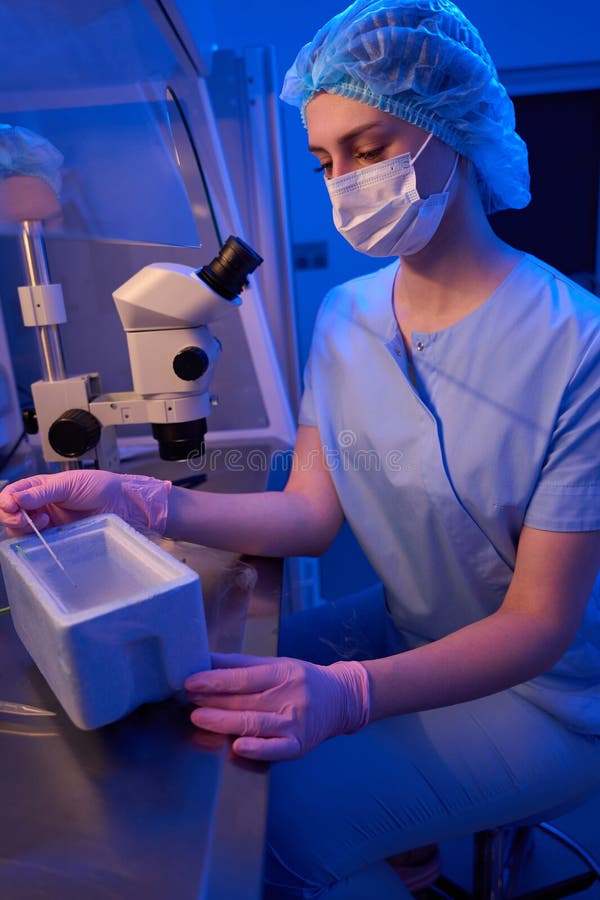 Embryologist is Performing in Vitro Fertilization Procedure Under ...