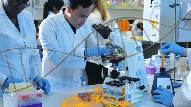 Lab Scientists Handling Sample Tubes in Research with Floating Data ...