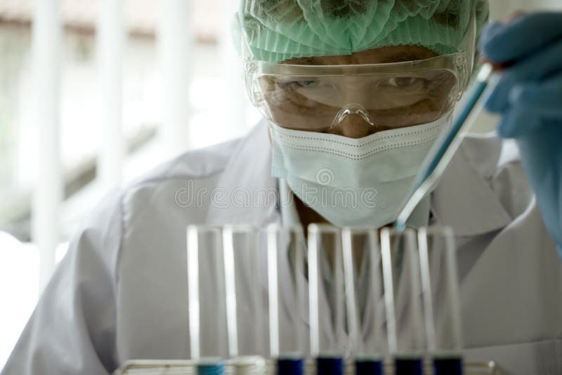 In Lab Scientists are Testing Stock Image - Image of equipment, chemist ...