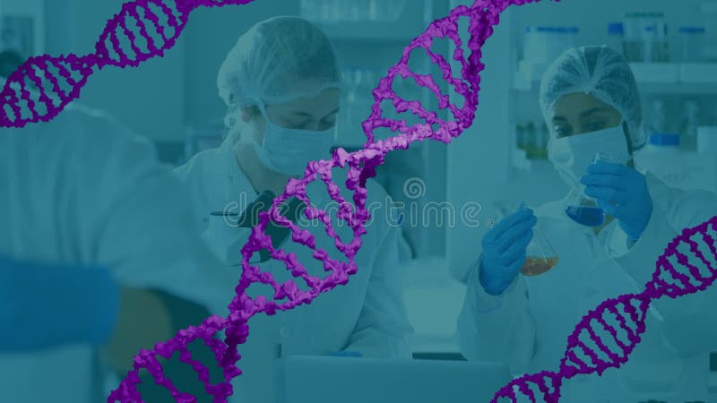 Lab Scientists Using Microscope in Biology Lab while Comparing Colored ...