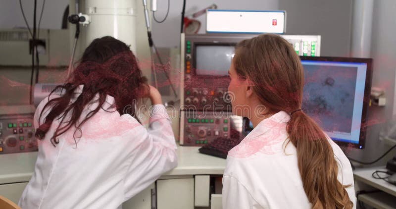 In Lab, Scientists Working with Animation on Electronic Equipment and ...