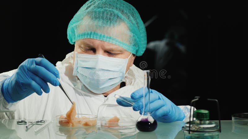 The Lab Technician Checks the Quality of the Chicken Meat in the Lab ...