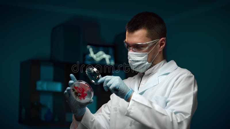Lab Technician Holding a Magnifying Glass while Working in the ...