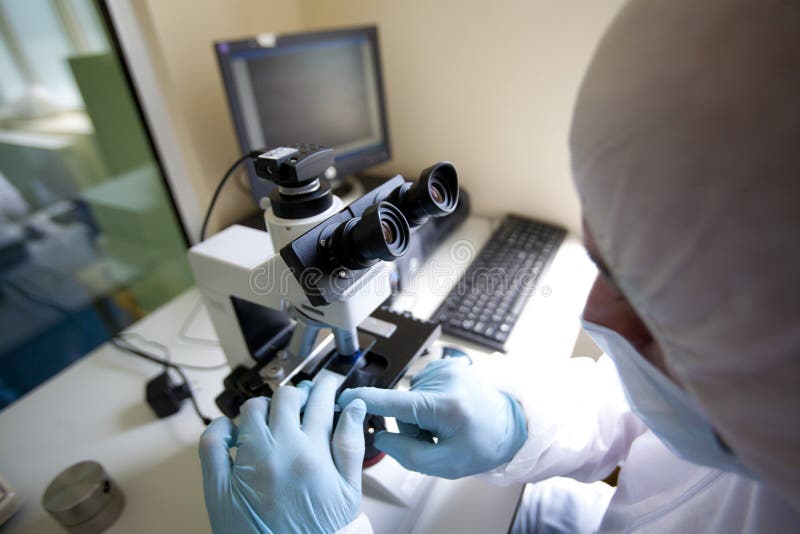 Lab Technician Performs Experiments Using a Microscope Stock Photo ...