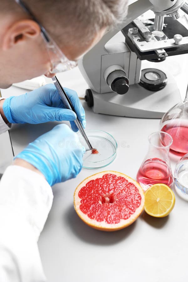 Food Testing in the Laboratory. Stock Photo - Image of chemistry ...