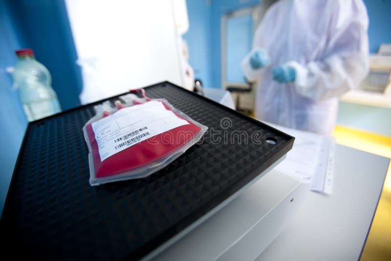 Lab Technician Processes Blood Bag Stock Image - Image of freezes ...