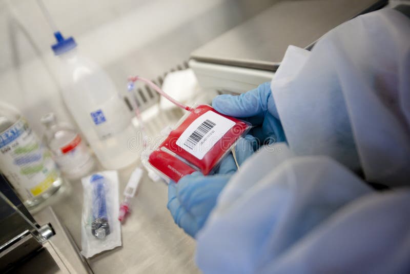Lab Technician Processes Blood Bag Stock Image - Image of centrifuge ...