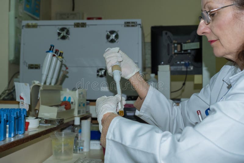 Lab Technician with a Sample of Plasma Blood Analyzing the Results ...