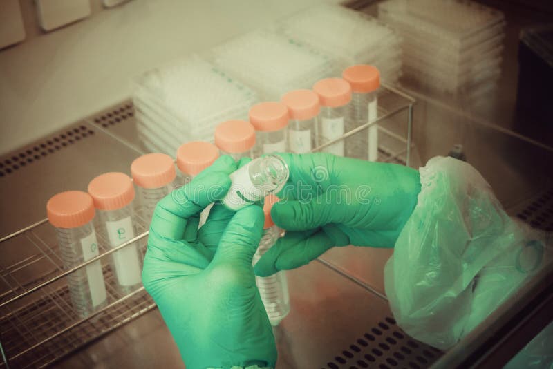 Lab Technician Takes Sample from Tube for Test, Close Up Stock Image ...