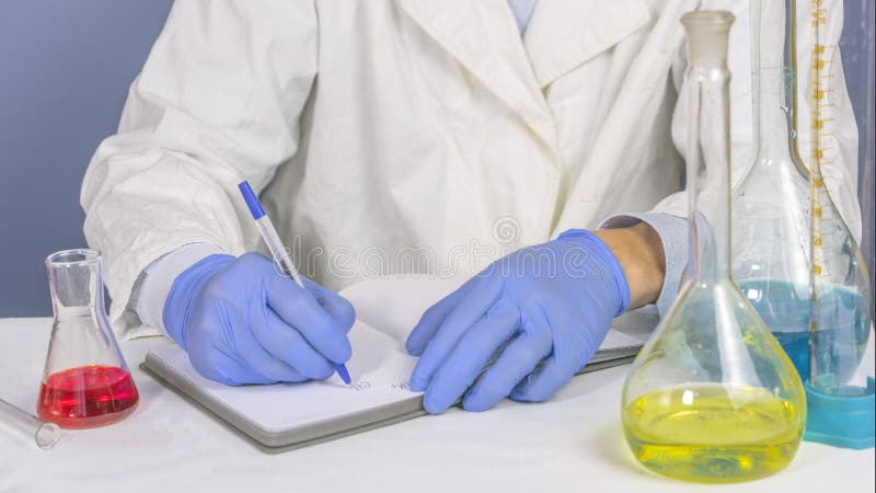 Lab Technician Writes the Results of Successful Research into the ...