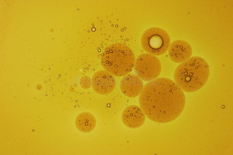 Lab test stock photo. Image of science, blood, bubbles - 384436
