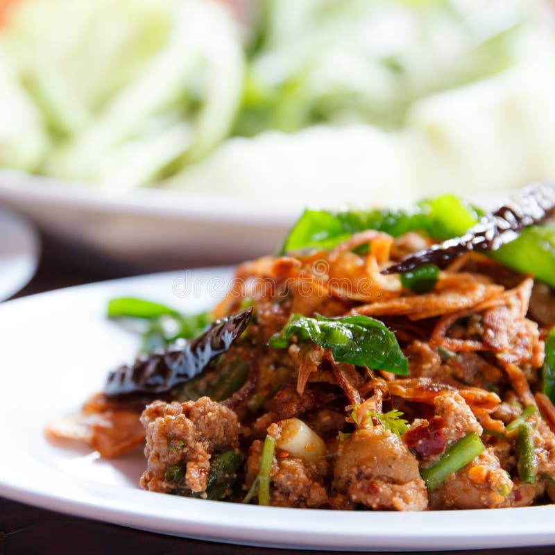 Lab, Thai food stock photo. Image of dinner, basil, larb - 27573542