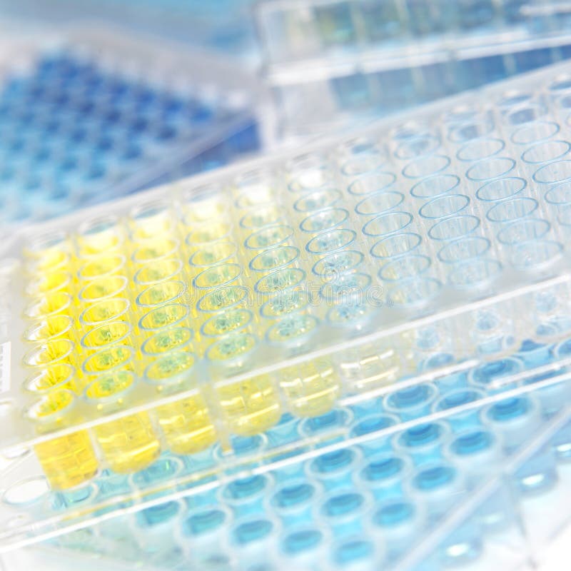 Lab Trays stock image. Image of white, glass, accurate - 18680177