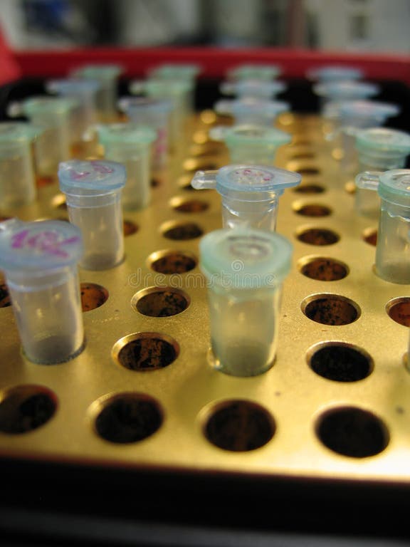 Lab tubes stock image. Image of doctor, science, holes, university - 2843