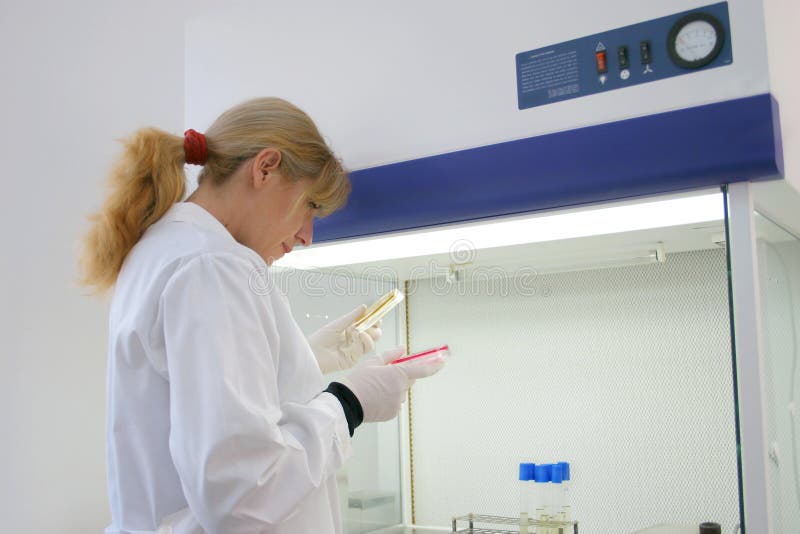 Working in the laboratory stock photo. Image of color - 2472464