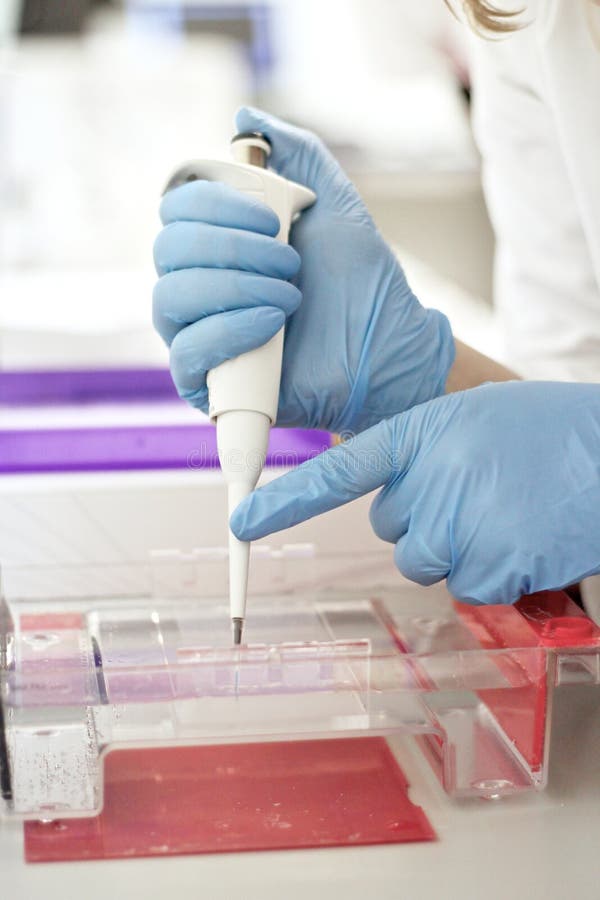 Lab Worker S Hands in Blue Gloves Stock Photo - Image of blue ...