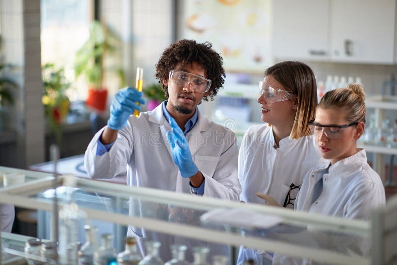 Lab Workers Examining Sample in Test Tube Stock Image - Image of ...