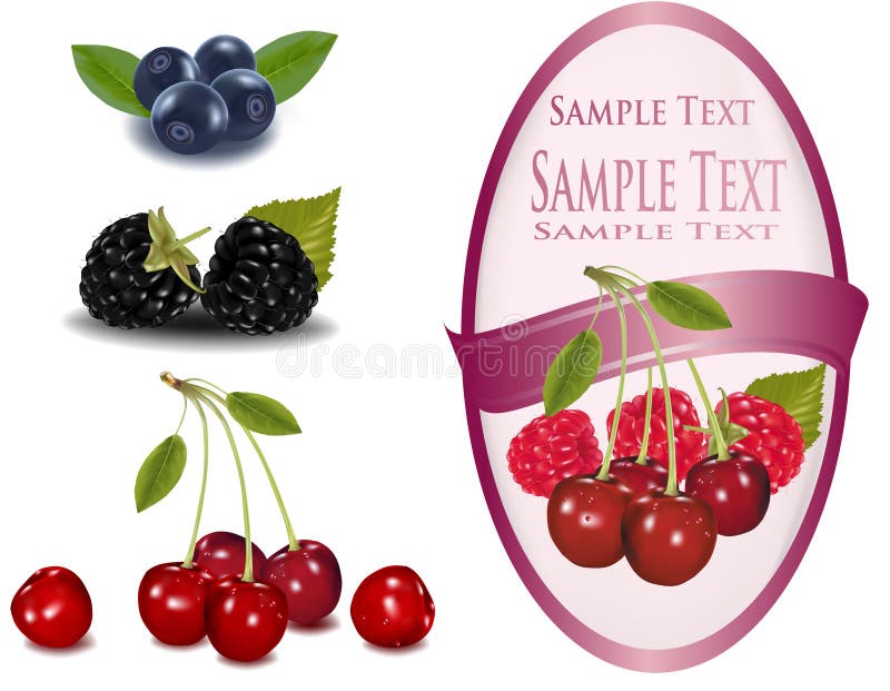 Label with Berries. Group of Berries Stock Vector - Illustration of ...