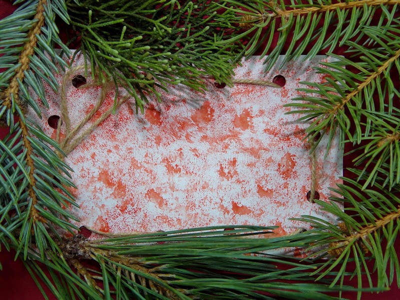 Label with Branches of Spruce Stock Photo - Image of pine, label: 78613014